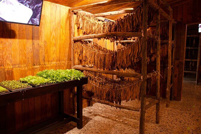 Private Tour of Puerto Plata by Classic Car - The Value of the Experience