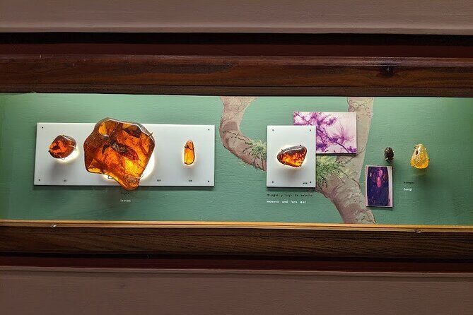 Private Tour of Puerto Plata by Classic Car - FAQ