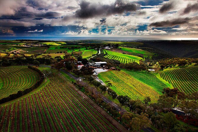 Private Tour of Rojina's Fleurieu in McLaren Vale - Introduction