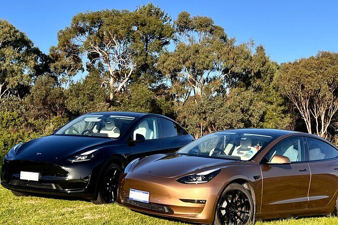 Private Tour of Rojina's Fleurieu in McLaren Vale - Key Points