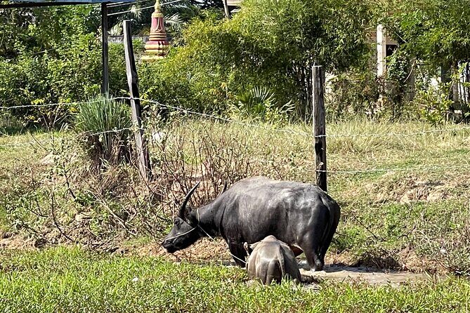 Private Tour of Rural Khmer Every Day Life - FAQ
