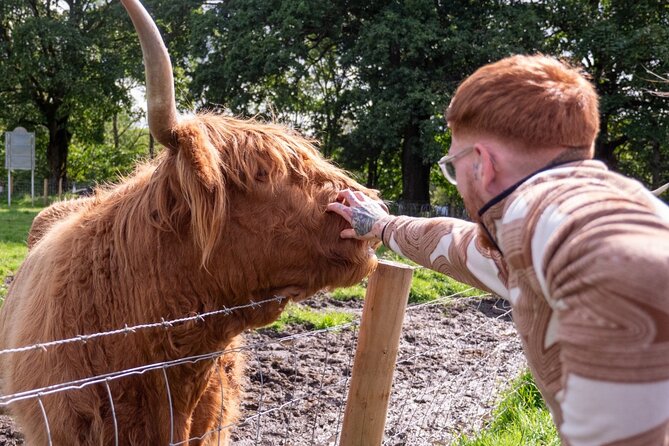 Private Tour of Scottish Highlands, Loch Lomond and castles - The Sum Up