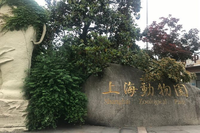 Private Tour of Shanghai Zoo and Cruise on Huangpu River with Dim sum Lunch - An in-depth look at a comprehensive Shanghai day tour