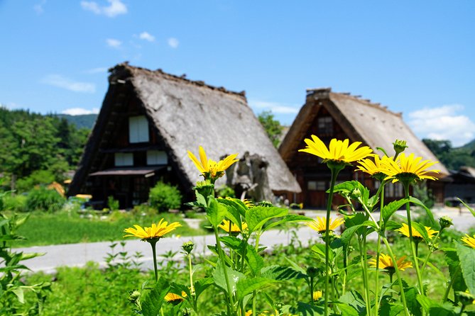 Private Tour of Shirakawago From Kanazawa (Half Day) - Customer Feedback