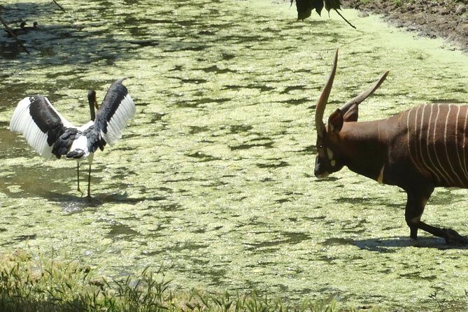 Private Tour of Sonoma Wild Safari Animal Park and Sonoma Redwoods - FAQ