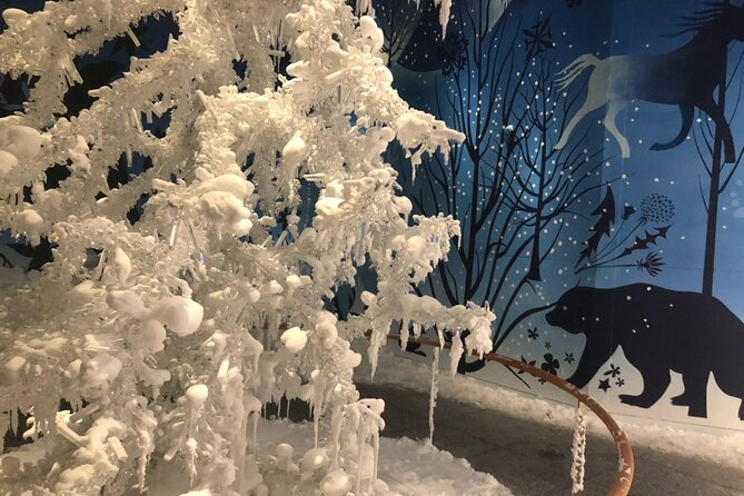 Private Tour of Swarovski Crystal World from Innsbruck - The Sum Up