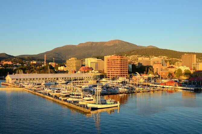 Private Tour of Tahune Airwalk and Hastings Caves from Hobart - The Experience in Practice