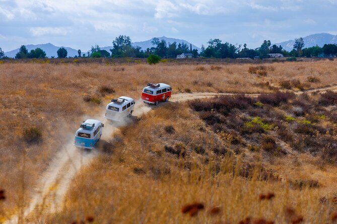 Private Tour of Temecula Wine Country - The Sum Up