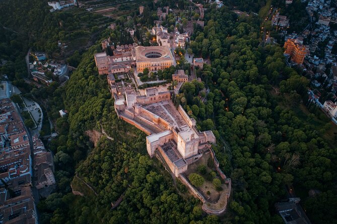 Private Tour of the Alhambra Entrances Included - Testimonials From Delighted Travelers