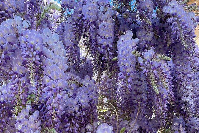 Private Tour of the Alhambra Review - Exploring the Alhambra With a Guide