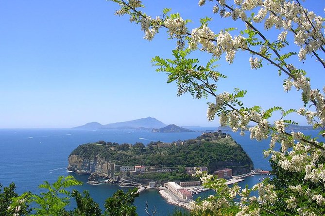 Private Tour of the Amalfi coast from Rome - What Reviews Tell Us