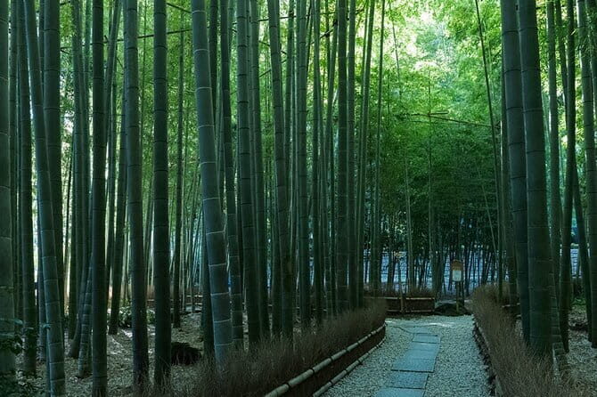 Private Tour of the Ancient Capital Kamakura from Tokyo - Who Would Love This Tour?