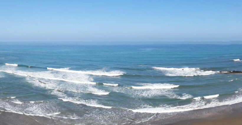 Private Tour of the Basque Coast and Countryside - Exploring the Basque Coast and Countryside: A Detailed Review of the Private Tour