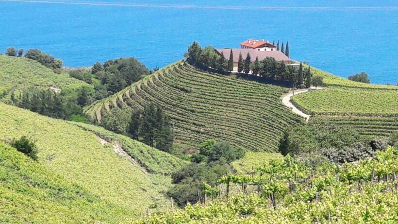 Private Tour of the Basque Coast and Countryside - FAQs