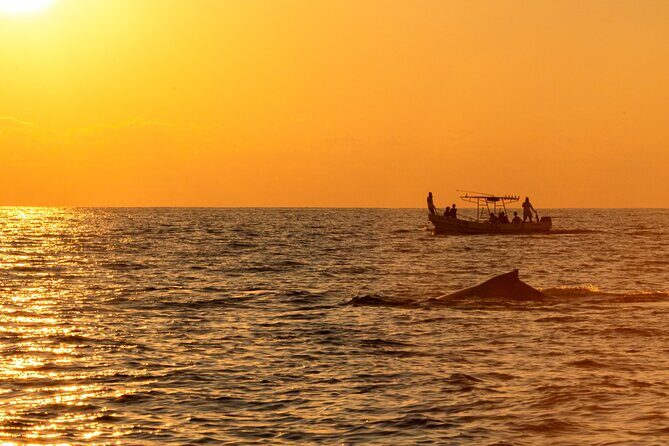 Private Tour of the Beaches of Puerto Escondido in Lancha - Who Will Love This Tour?