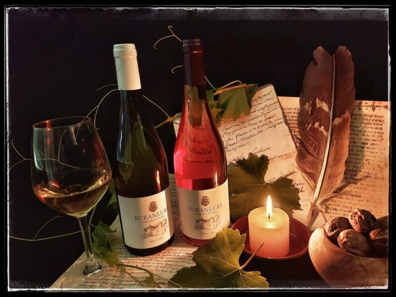 Private tour of the castle and wine tasting - Who Should Consider This Tour?