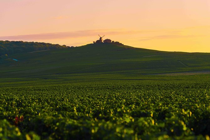 Private Tour of the Champagne Area, Meet Local Producers and Taste Their Champagne, Start From Your Hotel in Paris. - Pricing and Booking Information