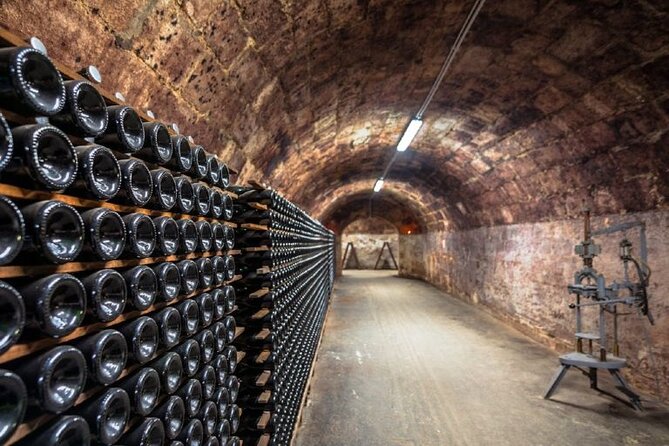 Private Tour of the Champagne Area, Meet Local Producers and Taste Their Champagne, Start From Your Hotel in Paris. - Visiting Champagne Cellars