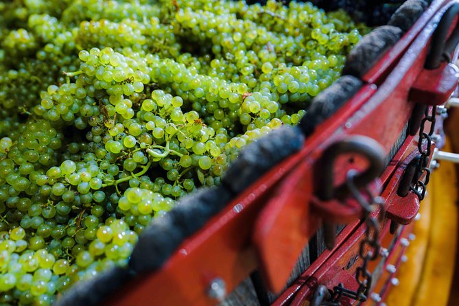 Private Tour of the Champagne Area, Meet Local Producers and Taste Their Champagne, Start From Your Hotel in Paris. - Exploring the Champagne Region