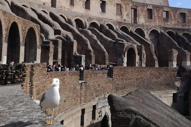 Private Tour of the Colosseum - Colosseum Entrance Tickets and Fees