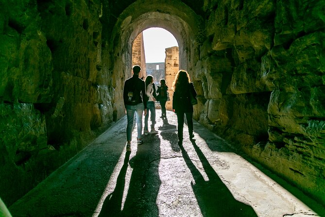 Private Tour of the Colosseum Forums Palatine Hill & Ancient Rome - The Guide and Experience