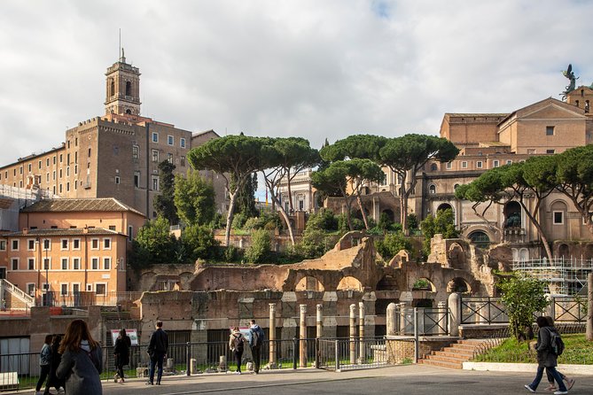 Private Tour of the Colosseum Forums Palatine Hill & Ancient Rome - Customer Feedback and Reviews