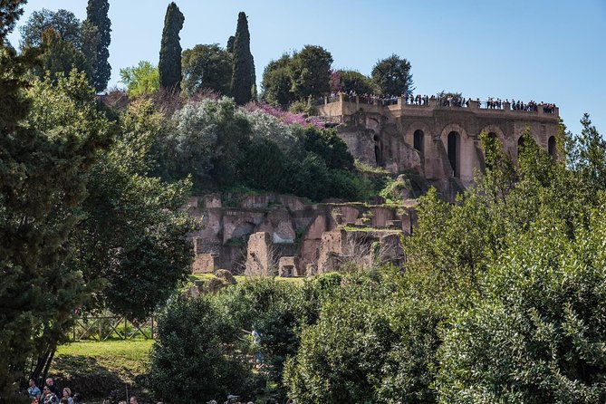 Private Tour of the Colosseum With Roman Forum & Palatine Hill - Booking and Participation Requirements