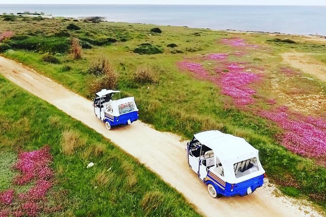 Private Tour of the Marinas - A Practical Look at the Itinerary