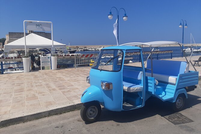 Private Tour of the Marinas - Who Should Consider This Tour?