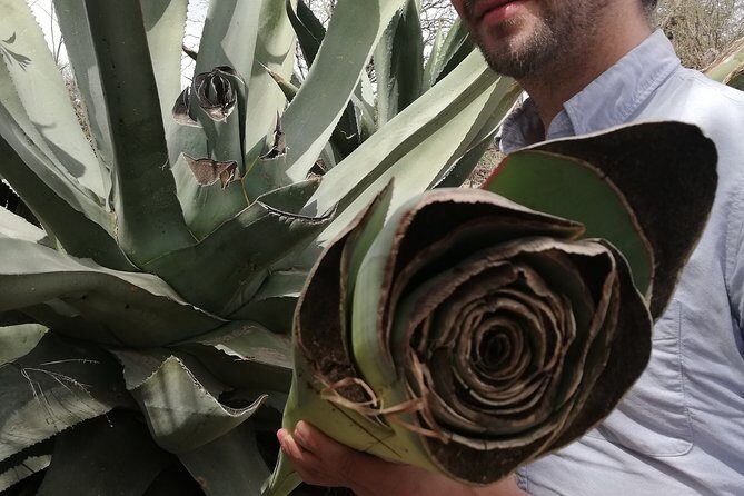 Private Tour of the Mezcal Route with Ancestral Drinks - A Final Word