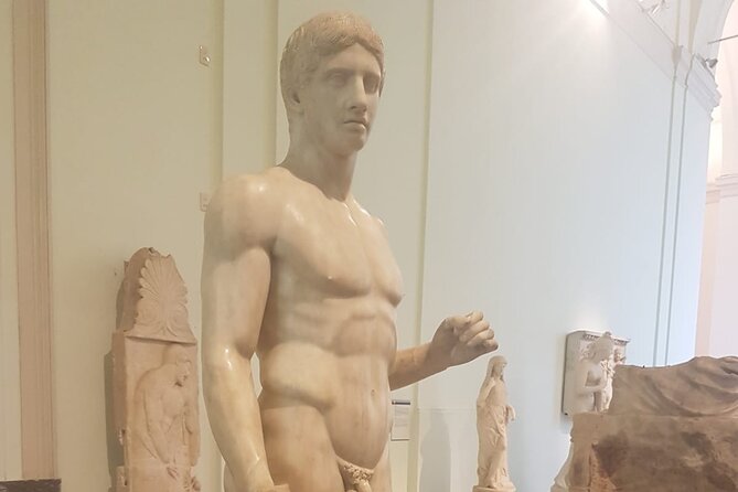 Private Tour of the National Archaeological Museum of Naples - Accessibility Options