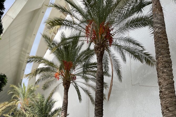 Private tour of the old city of Valencia - FAQ