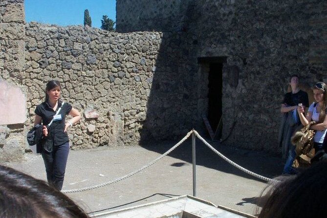 Private tour of the Pompeii excavations - Who Will Love This Tour?
