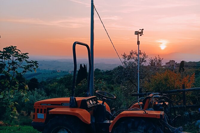 PRIVATE TOUR: oil production, Leonardo's house, tasting - Who Will Love This Tour?