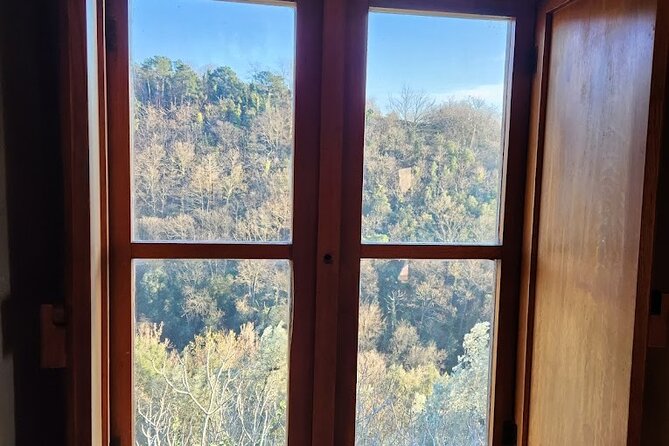 PRIVATE TOUR: oil production, Leonardo's house, tasting - The Sum Up