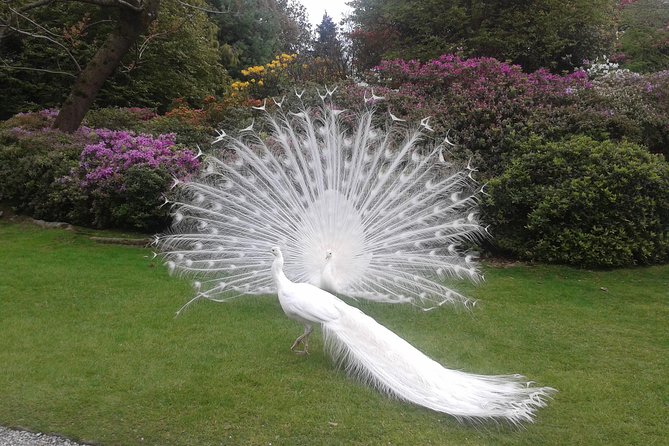 Private tour on isola Bella with a tour guide and sunset cruise. - FAQ