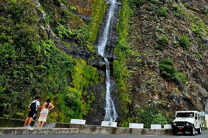 Private Tour on Madeira Island (max 6 people) - Exploring Madeira: An In-Depth Review of the Private Tour