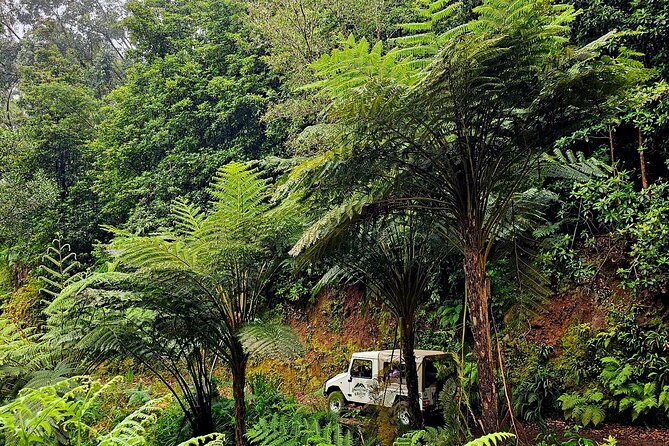 Private Tour on Madeira Island (max 6 people) - Who Should Consider This Tour?