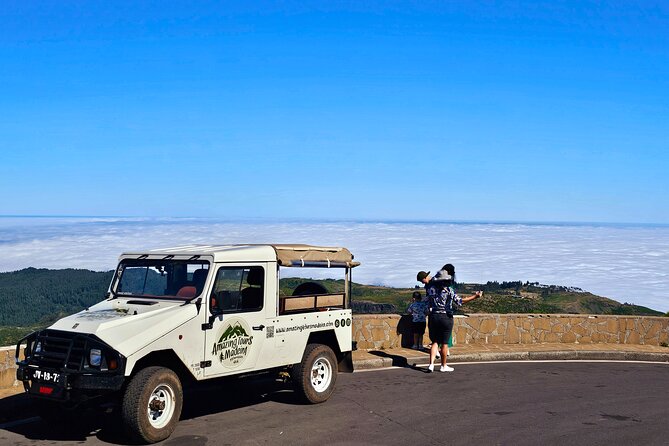 Private Tour on Madeira Island (max 6 people) - Final Thoughts