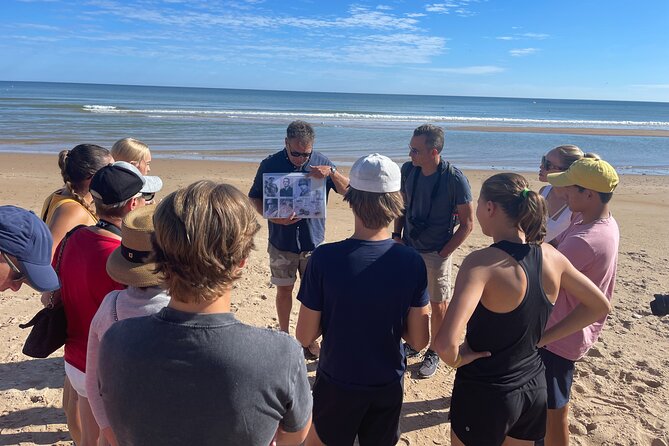 Private Tour on the D-Day Landind Beaches - About the Tour Provider