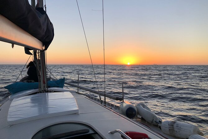 Private Tour on the Douro River and Sea and Sunset - Authentic Reviews and Insights