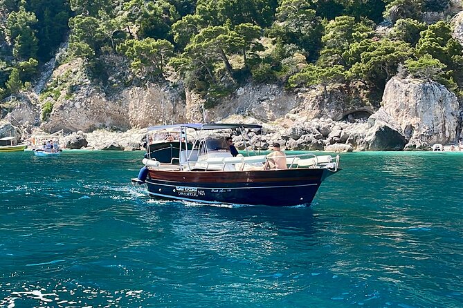 Private Tour on the Island of Capri - Accessibility and Additional Info