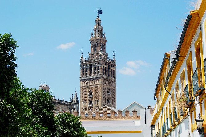 Private Tour One Day in Seville - Meeting and Pickup Information