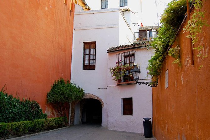 Private Tour One Day in Seville - Tips for Enjoying the Tour