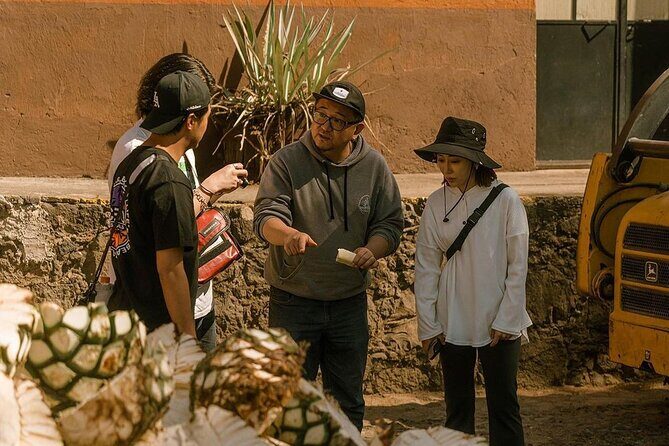 Private Tour one day of Adventure in Tequila and Tequilera Cascahuin - The Itinerary in Detail