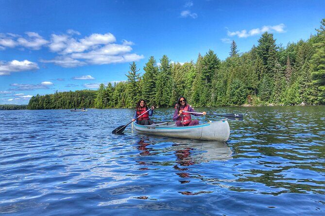 Private Tour or Private Transportation From Toronto Anywhere - In-Depth Look at Possible Destinations