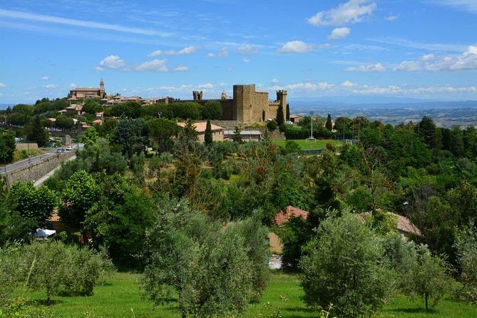 Private Tour: Orcia Valley to Montalcino and Montepulciano With Brunello Wine Tasting - Reviews and Traveler Experiences