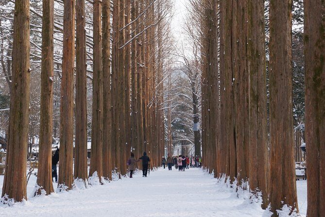 [Private Tour] Organic Strawberry Farm & Nami Island & Petite France - Who Would Love This Tour?