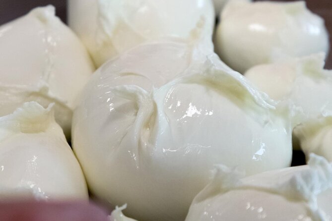 Private Tour: Paestum, Mozzarella Bufala guided tour and lunch - Is It Worth the Price?