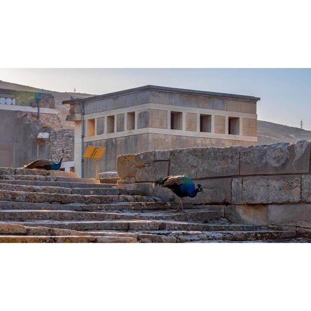 Private Tour: Palace of Knossos - Discovering the Palace of Knossos: A Practical Guide